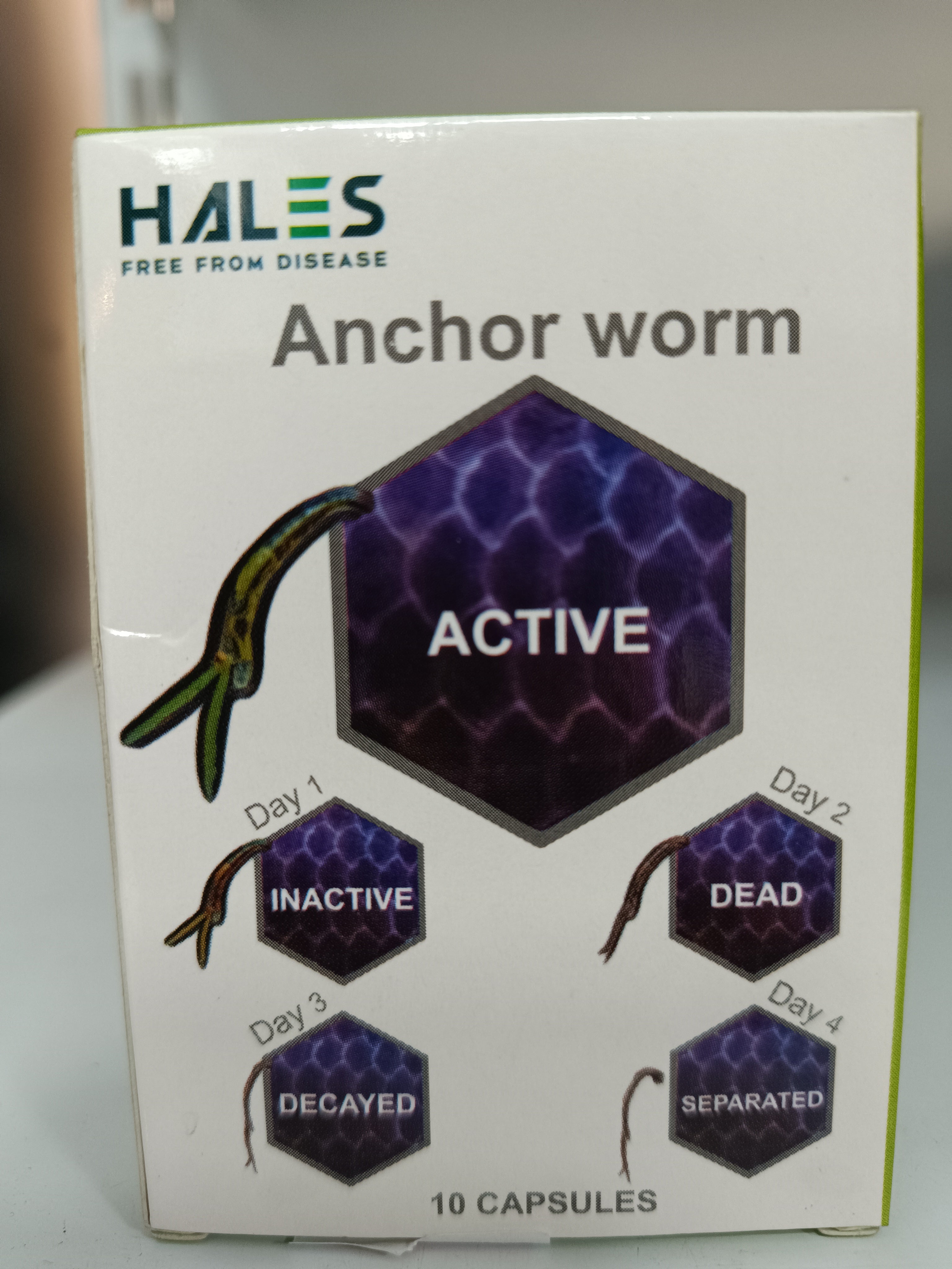 HORIZONE ANCHOR WORM 10 CAPSULES PACK – Aquatic Vision Aquarium